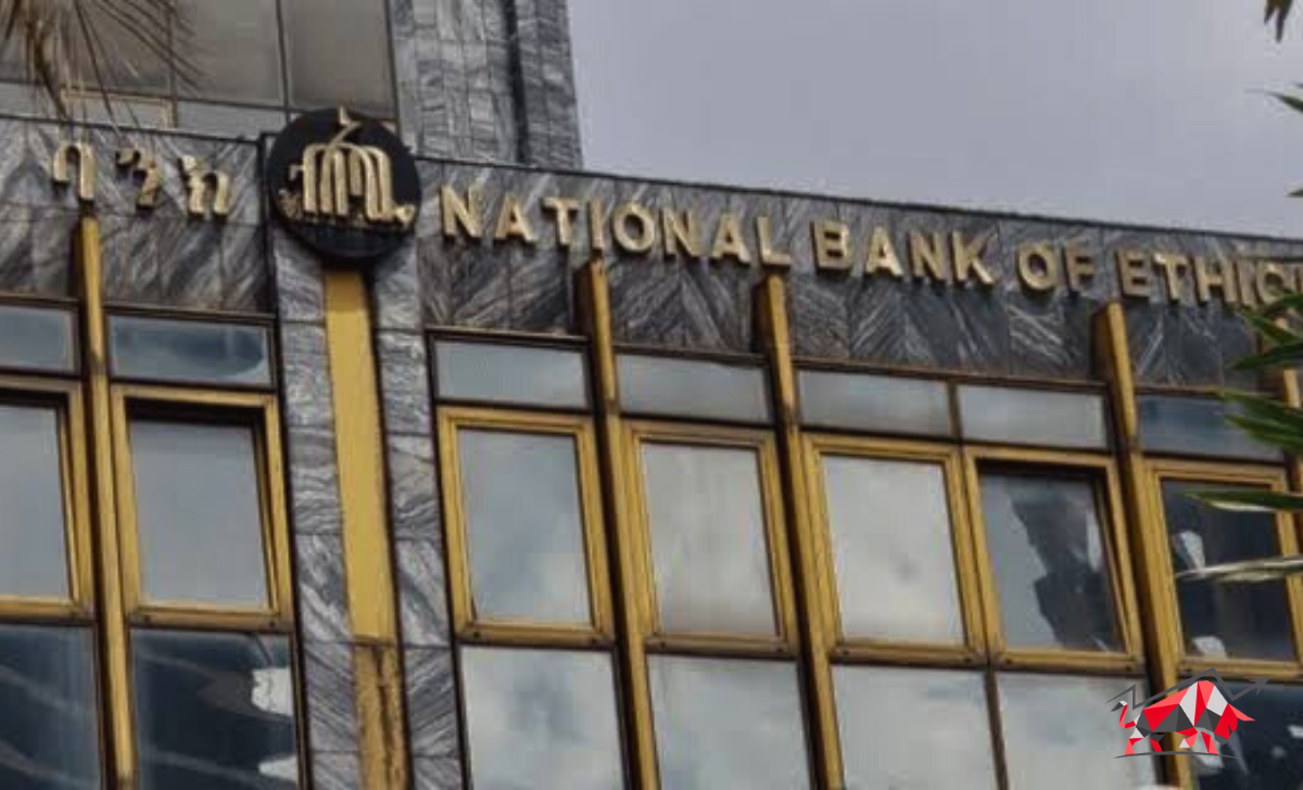 Bank of Ethiopia (NBE) Prepares for Digital Currency and Economic Reforms